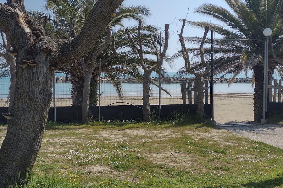 Camping Led Zeppelin Italy Marche