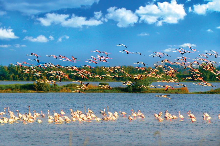 Villaggio Barricata Italy